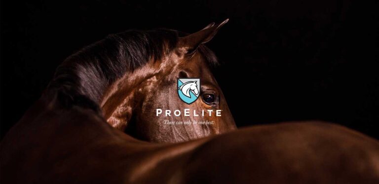 Homepage | ProElite Horse Feed